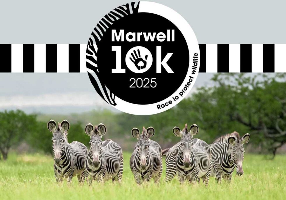 Marwell 10k - Running Mania